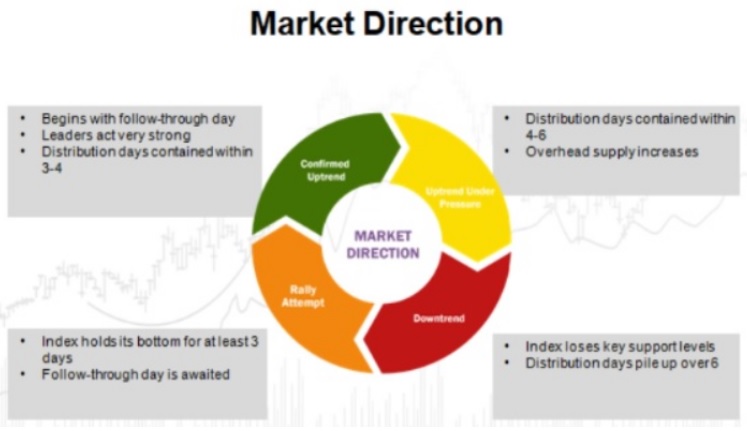 MarketSmith India - Stock Research Platform and Advisory Services in ...